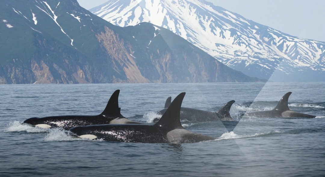 reconverge-slider-hero2 - Reconverge